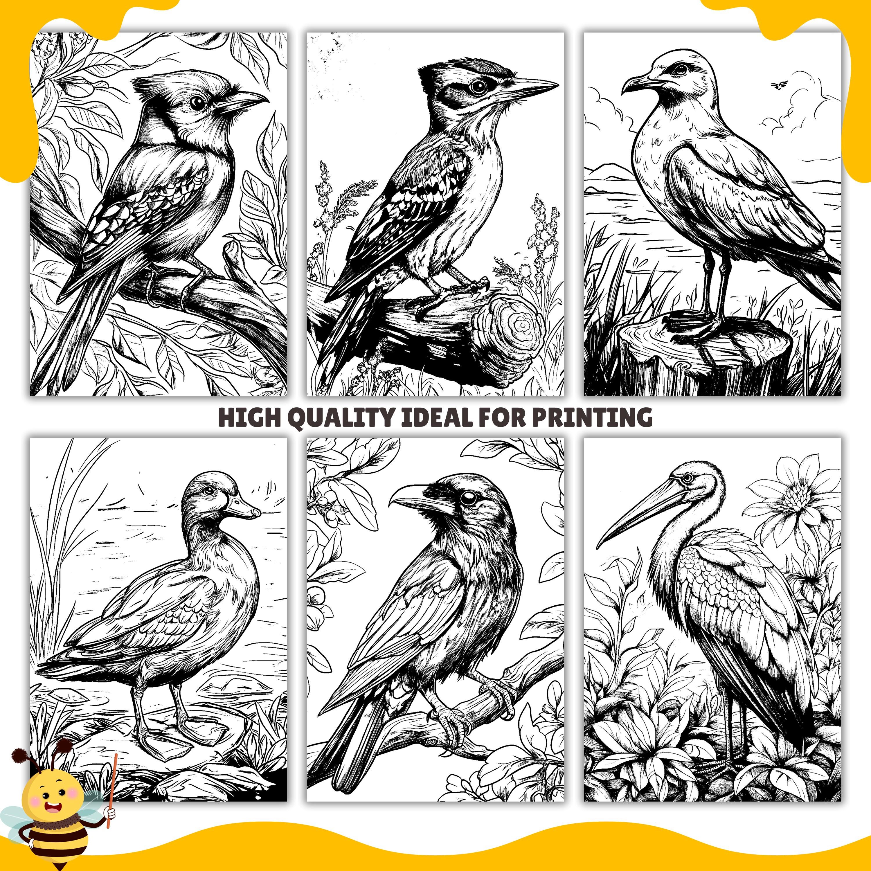 22 Birds Coloring Pages, Coloring Book, PDF, PNG and Grayscale, Adult ...