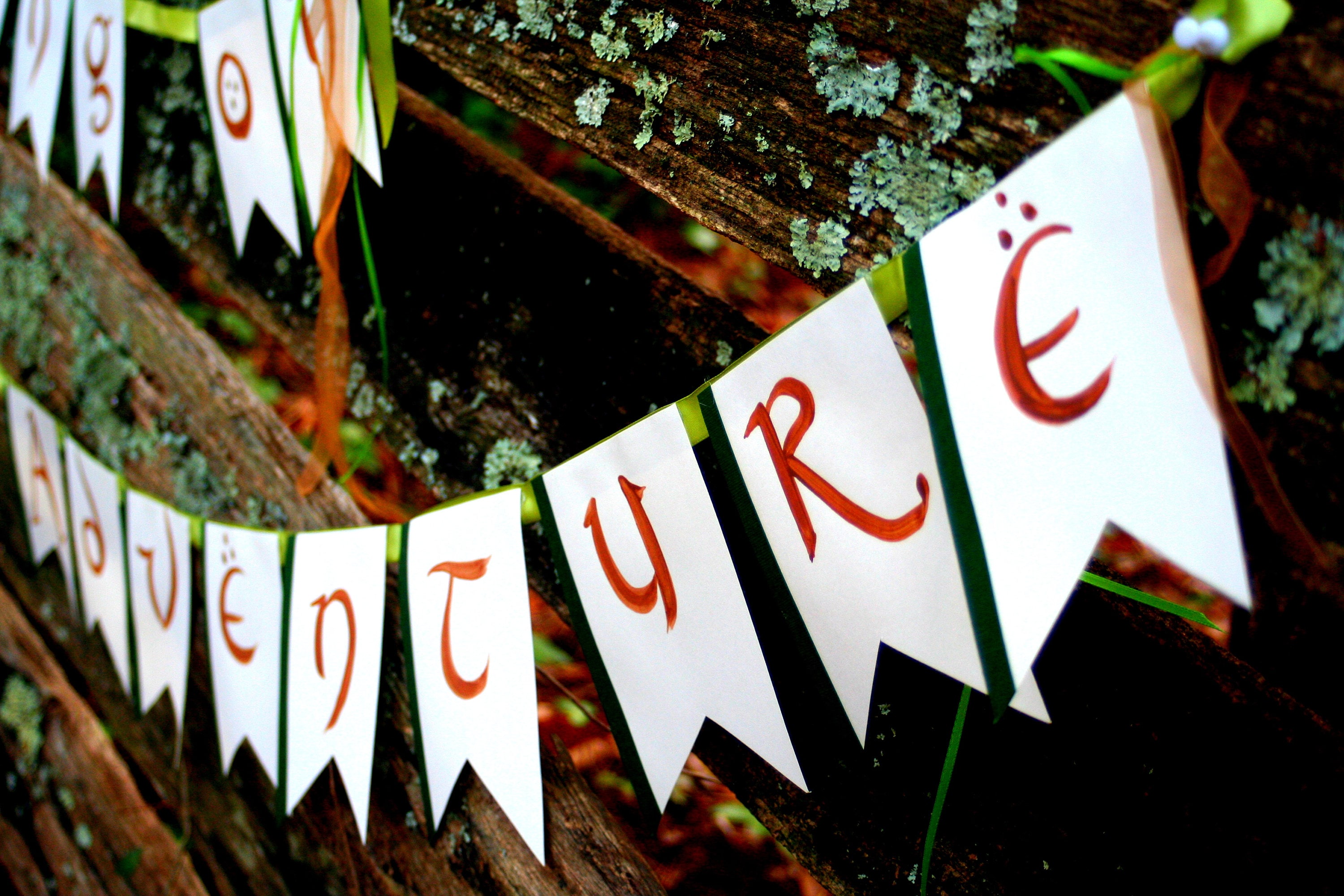 Lord of the Rings Party Banner: LOTR Wedding, Tolkien Gift, Décor - Etsy