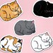 Cute Cat Loaf Stickers | Multiple Colors Available - Etsy