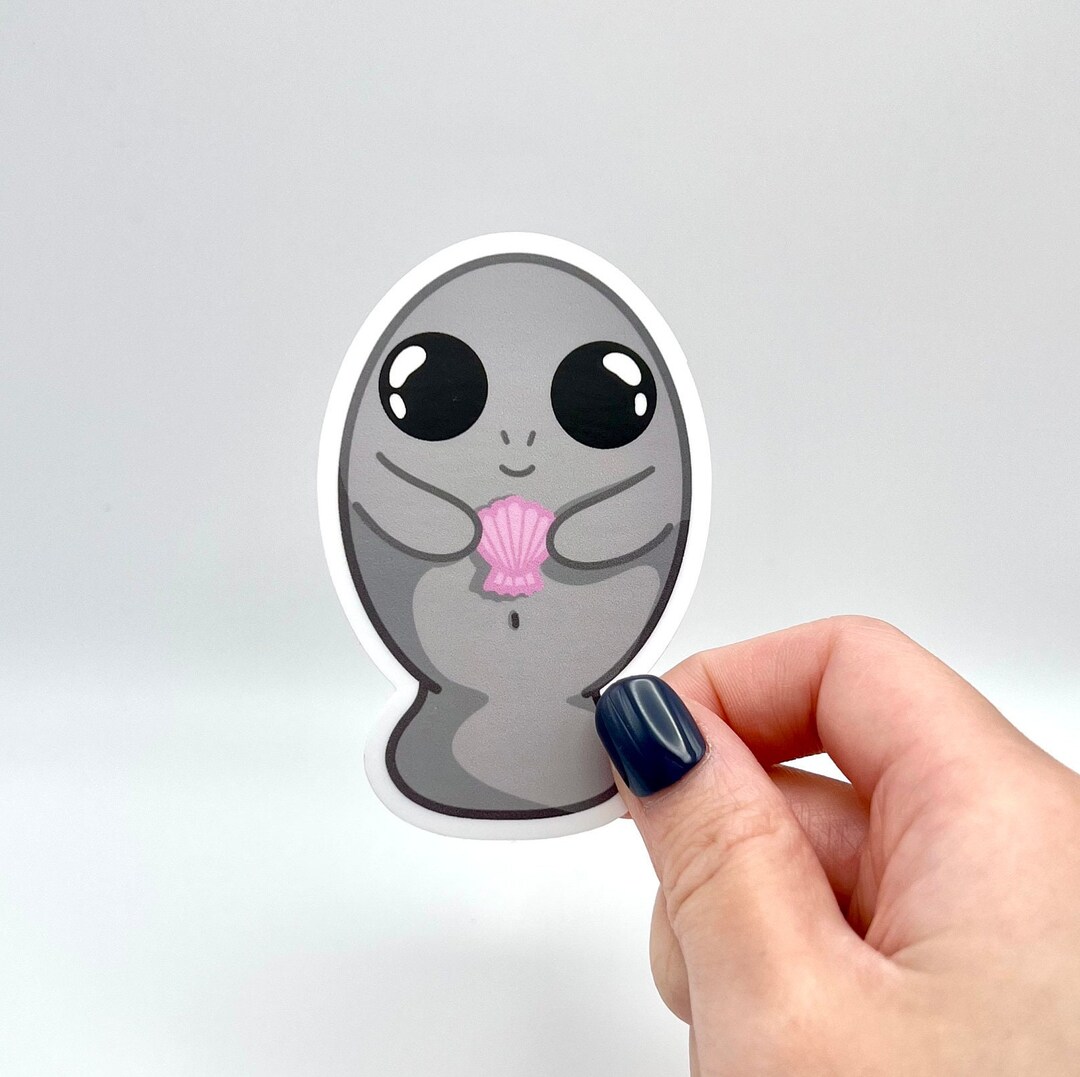 Manatee Sea Shell Matte Vinyl Sticker - Etsy