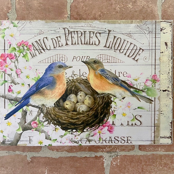 Bluebird Sign - Etsy