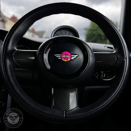 Mini Cooper S/JCW R50 R52 R53 Coolerworx Cover - Etsy