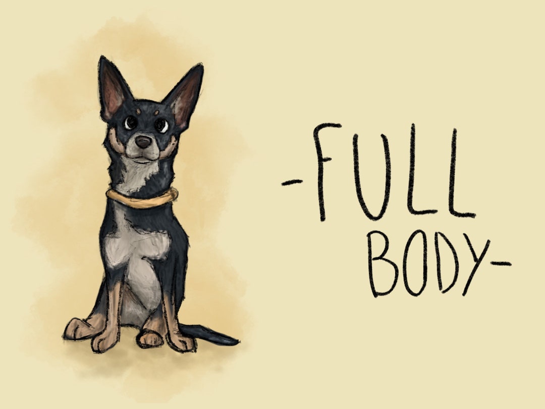 Full Body Digital Pet Drawing - Etsy