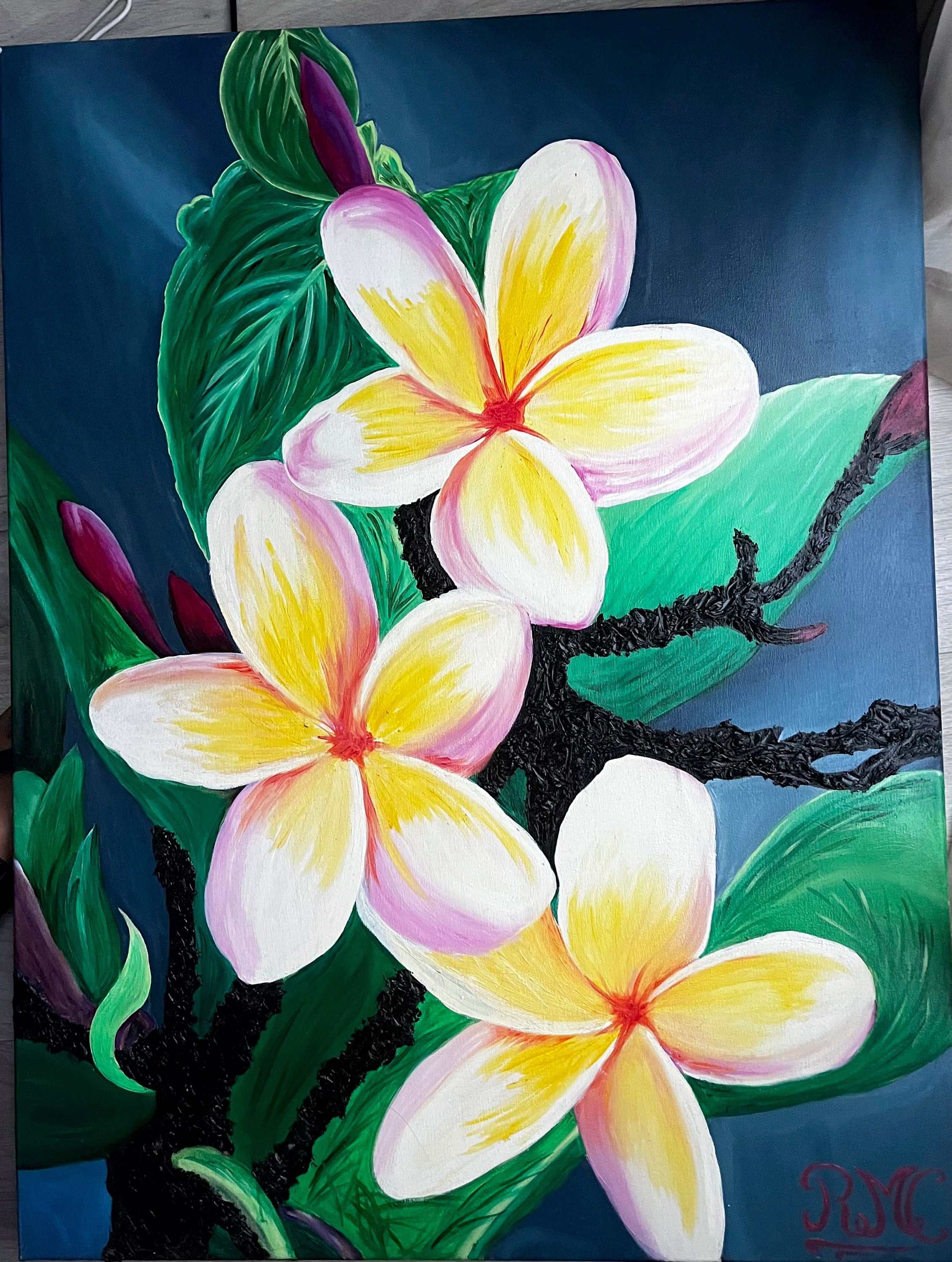 Frangipani (plumeria) Flowers - Etsy