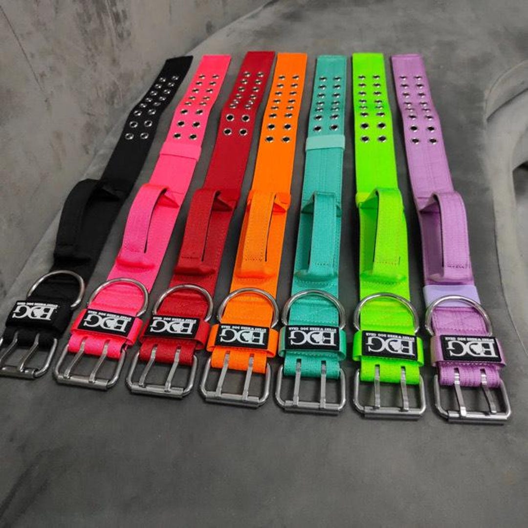 Heavy Duty Double Pin Collars 2inch Wide - Etsy