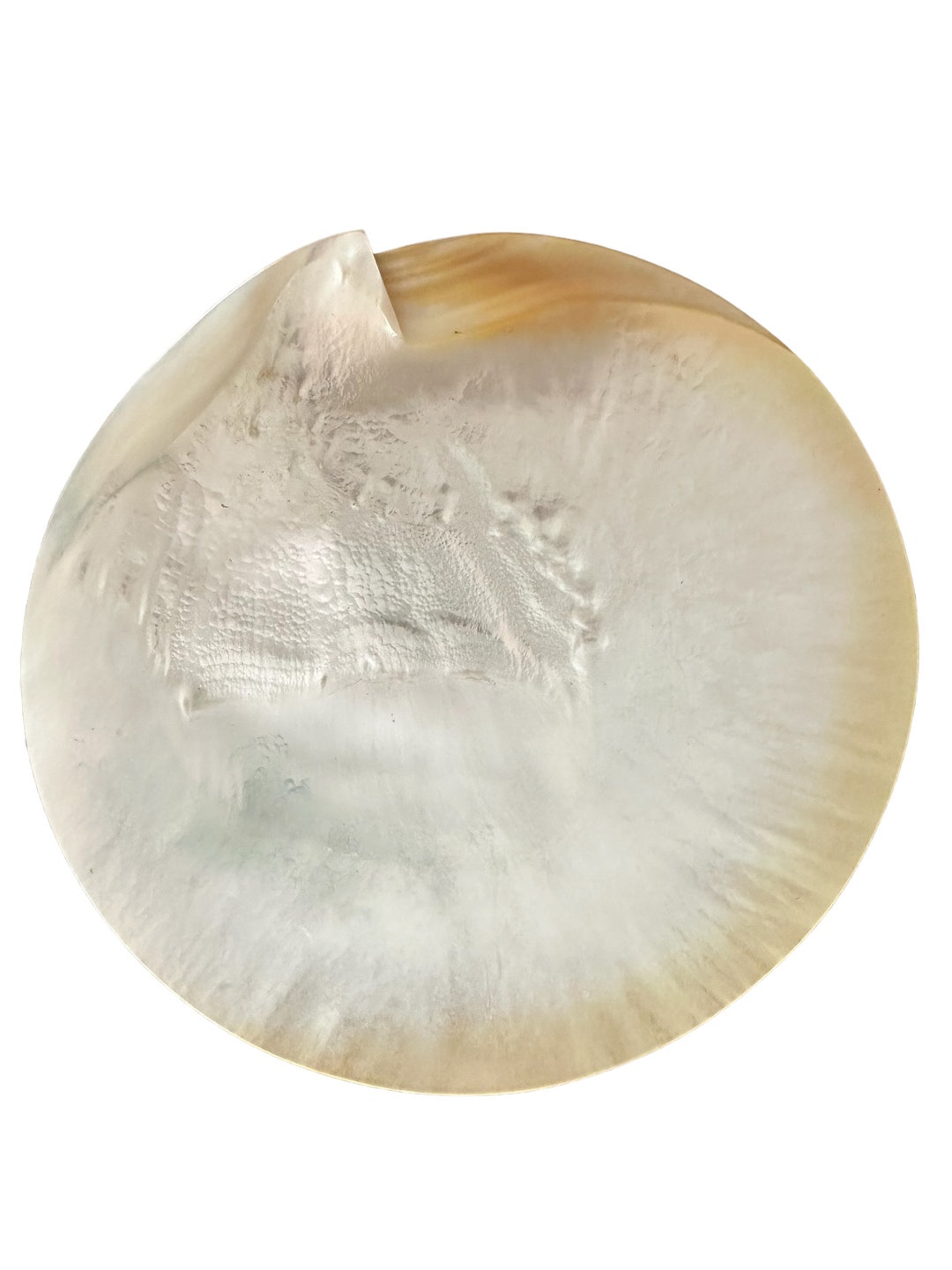 Mother of Pearl Seashell Caviar Plate Vintage - Etsy