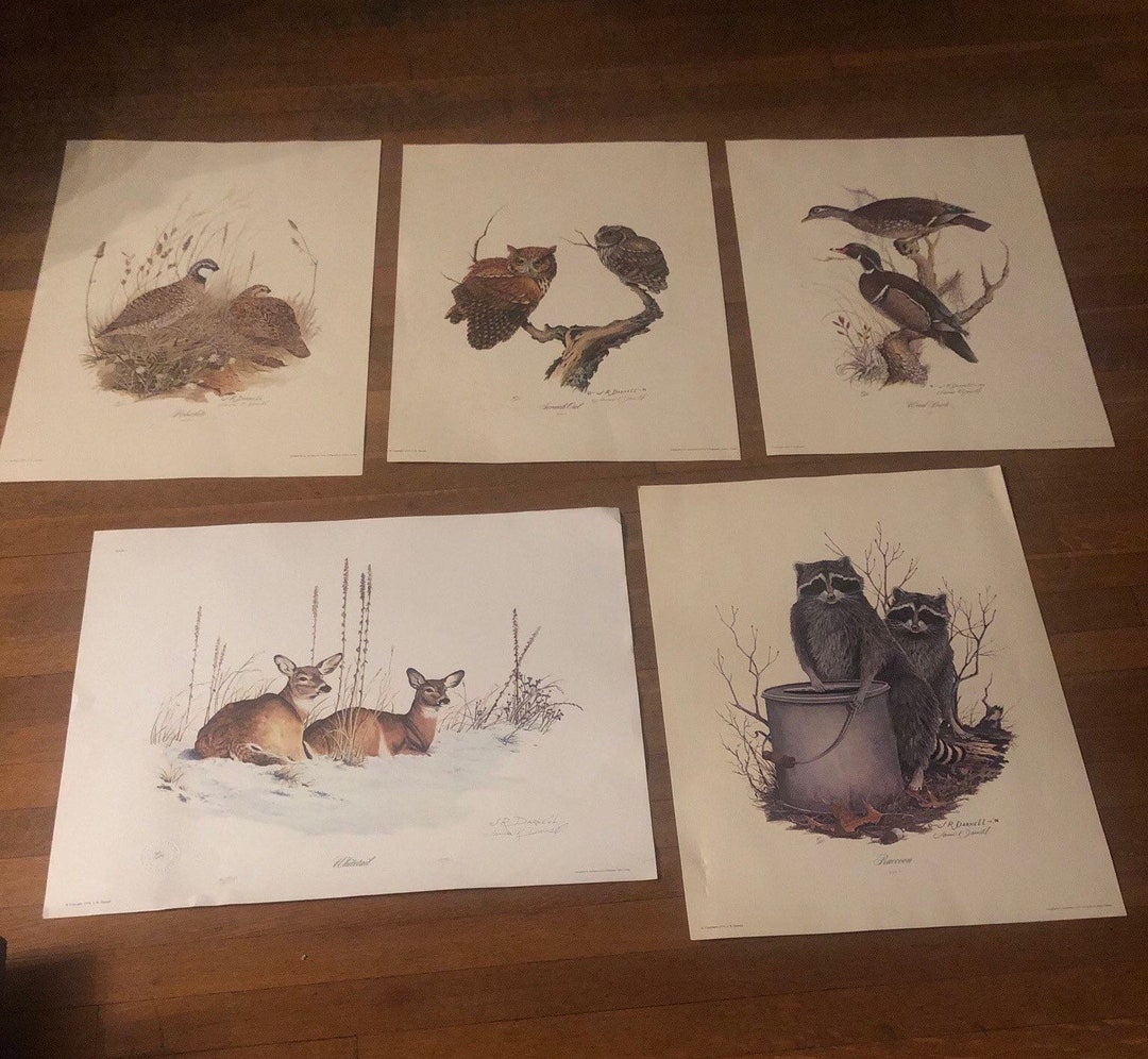 Vintage James Darnell Wildlife FIVE Artist Signed Limited - Etsy