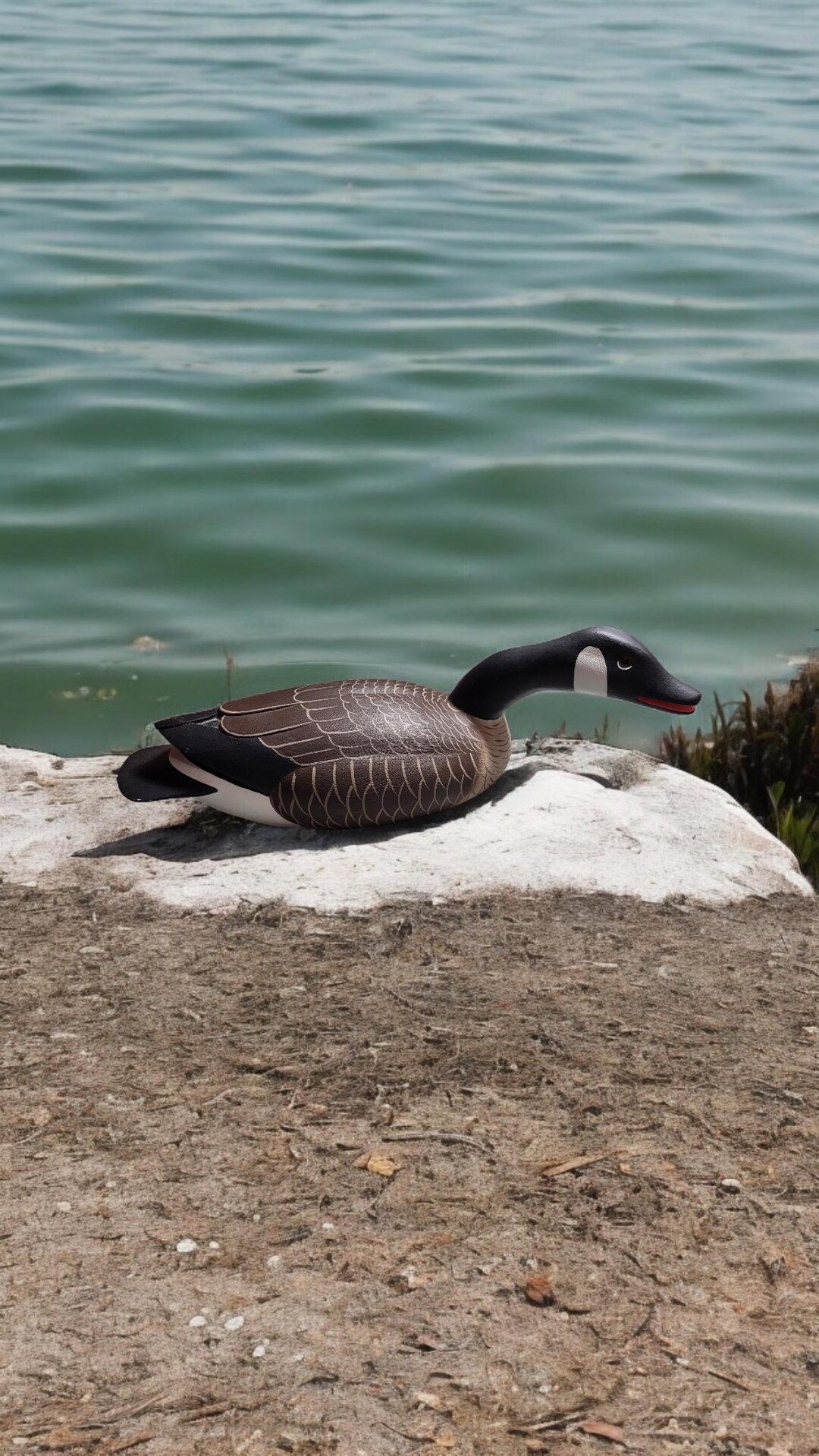 Drake Shoveler Carved by Barry W. Fuchs - Etsy