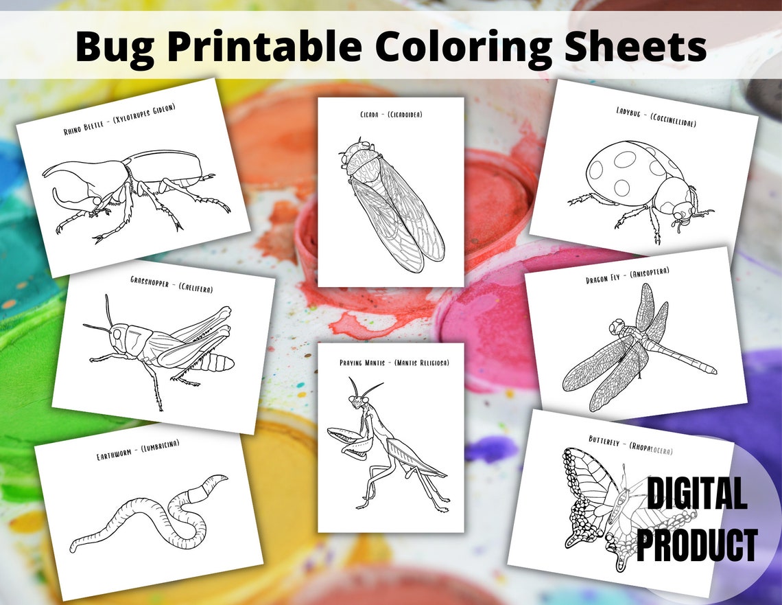 Bug Coloring Sheets Bug Birthday Activity Kids Coloring - Etsy