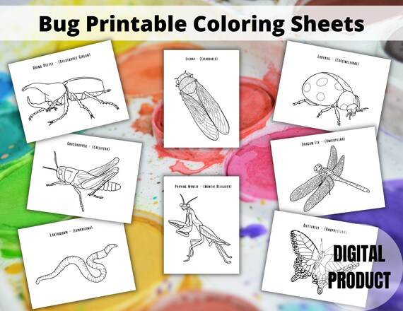 Bug Coloring Sheets Bug Birthday Activity Kids Coloring - Etsy