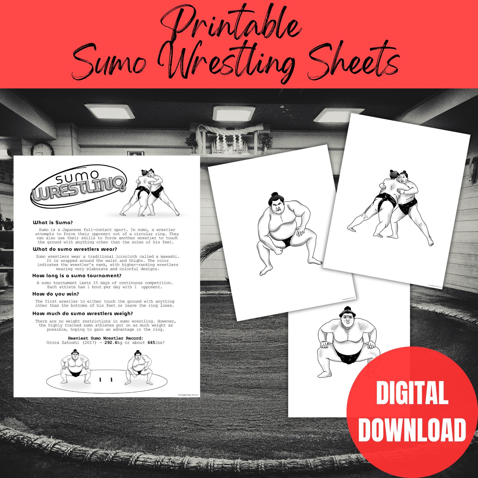 Printable Sumo Wrestling Coloring Sheets, Sumo Wrestling Printable ...