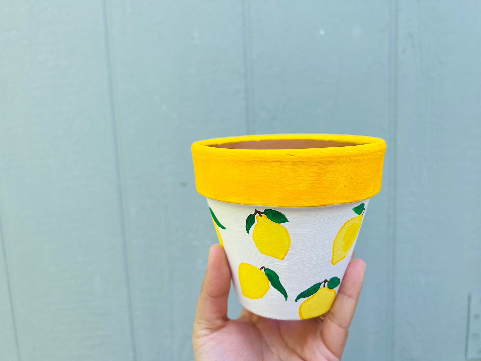 Limone Pot, Lemon Pot, Plant Pot, Perfect Gift, Plant More - Etsy UK