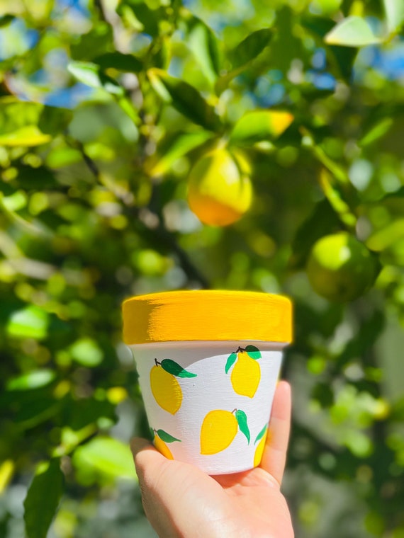 Limone Pot Lemon Pot Plant Pot Perfect Gift Plant More - Etsy