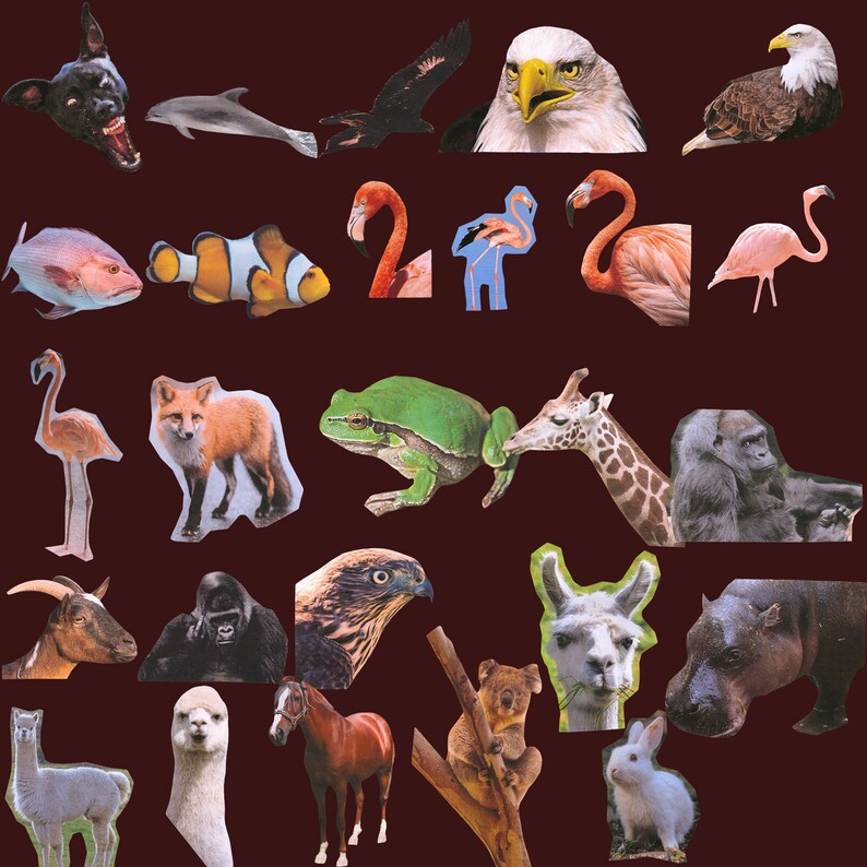 BIG Digital Download PNG File Adobe Photoshop Illustrator- Collage ...