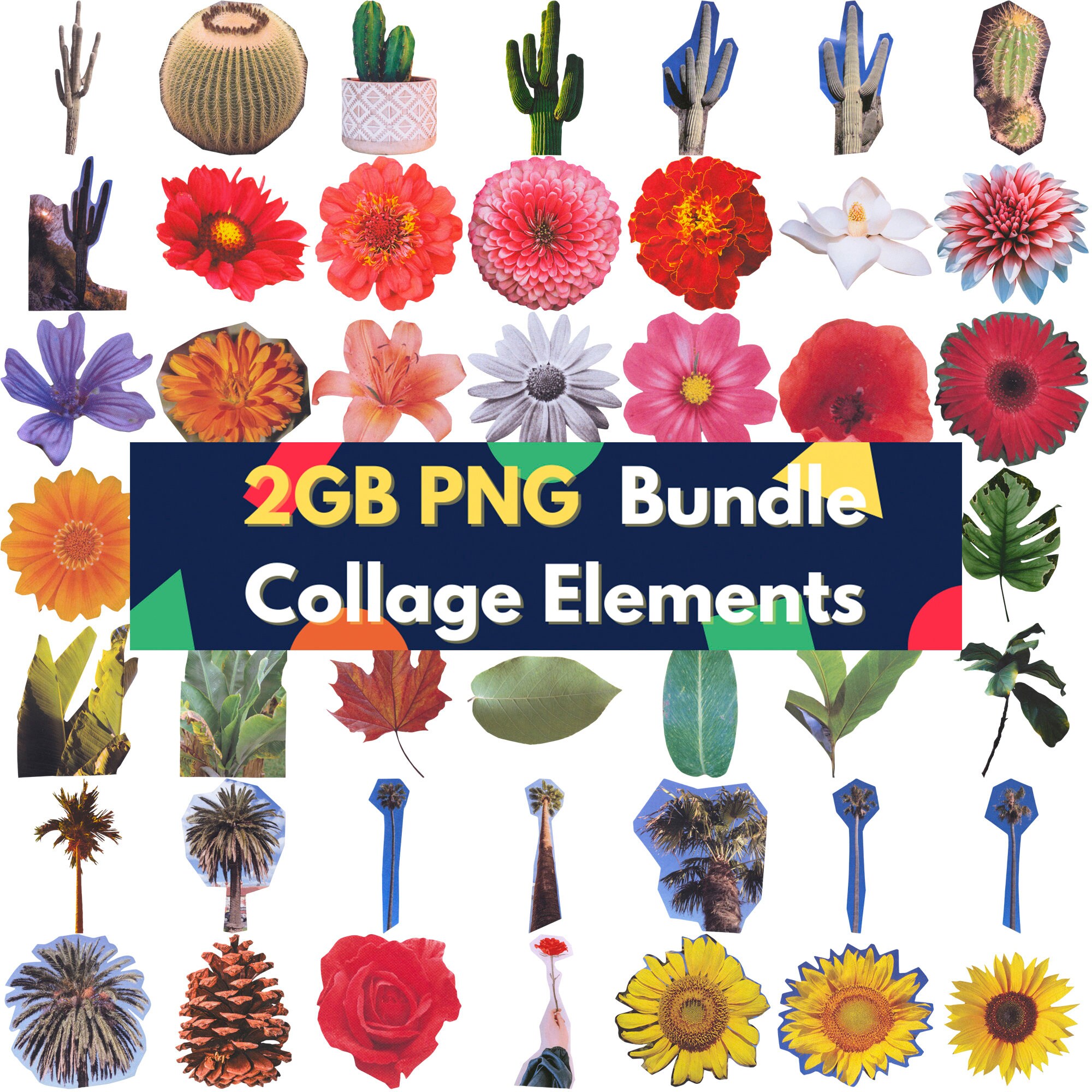 BIG Digital Download PNG PSD Files Adobe Photoshop Collage - Etsy