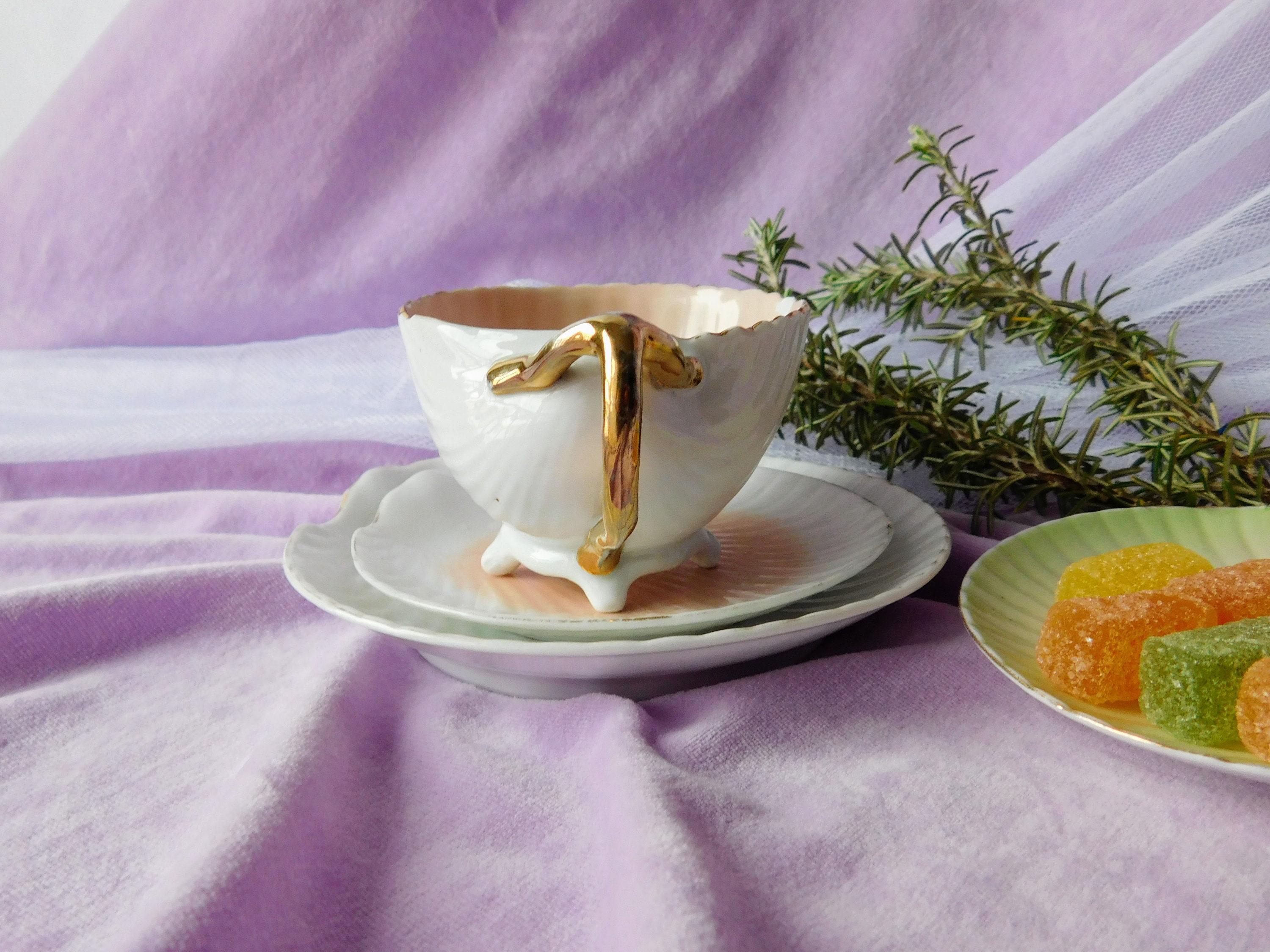 Rare Find Porcelain Shell-form Cup. Antique Victorian Porcelain Cup and ...