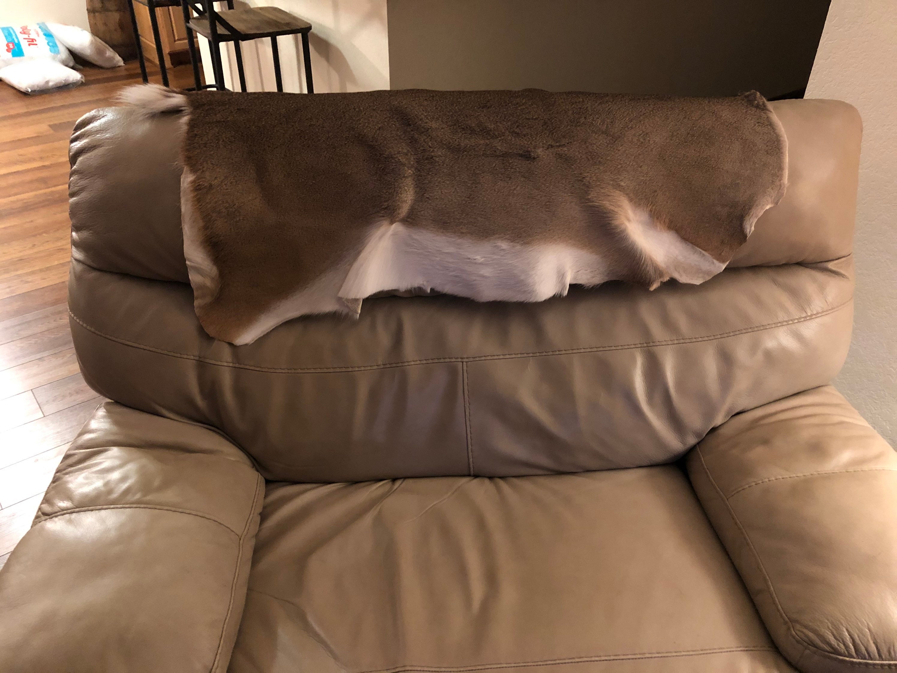 Whitetail Tanned Deer Hide Rug. Great Addition to Your Rustic Decor. - Etsy