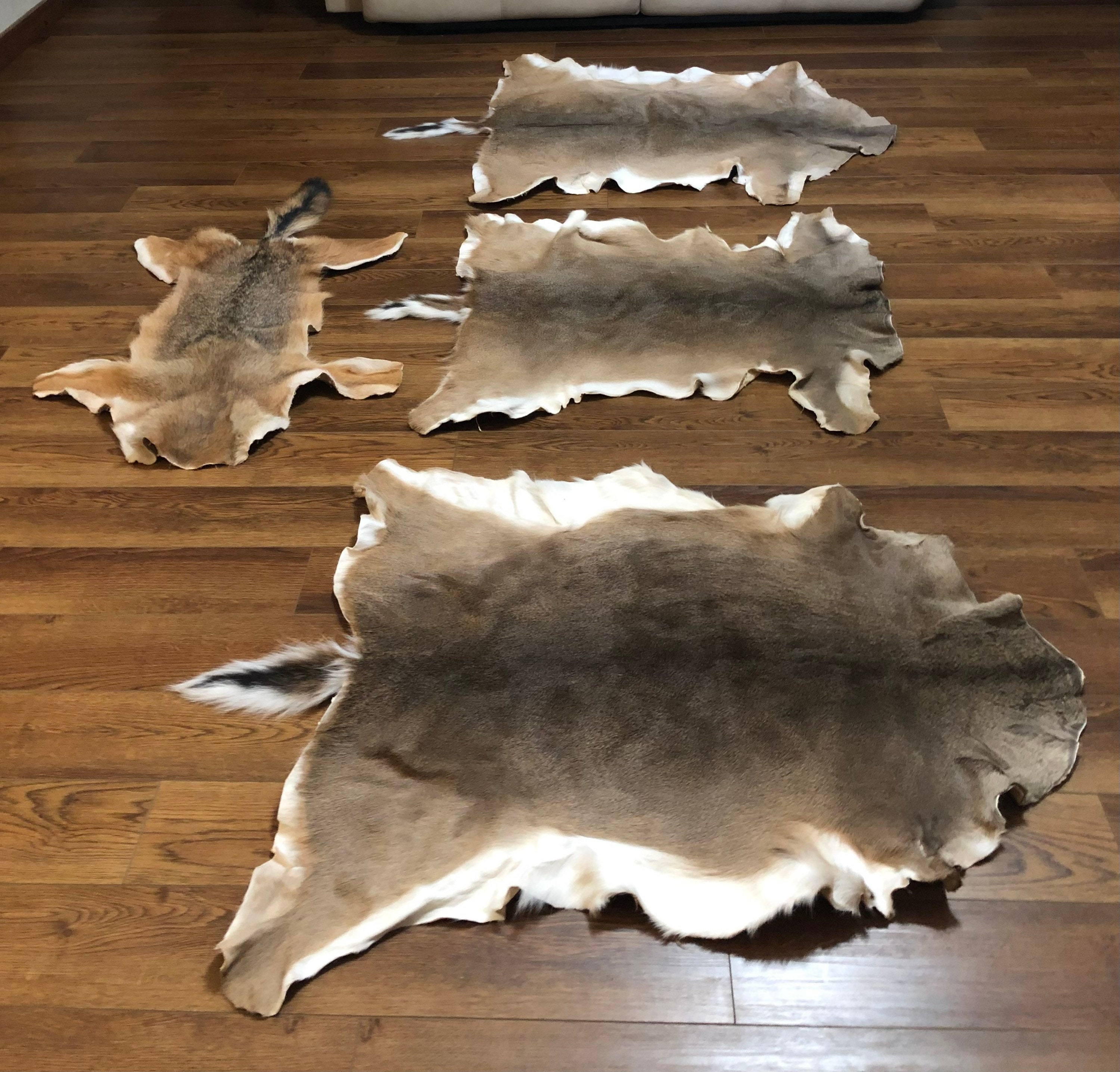 Whitetail Tanned Deer Hide Rug. Great Addition to Your Rustic Decor. - Etsy