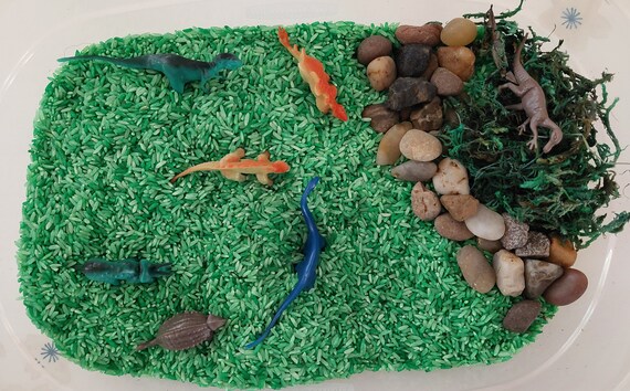 Dinosaur Themed Sensory Bin | Etsy