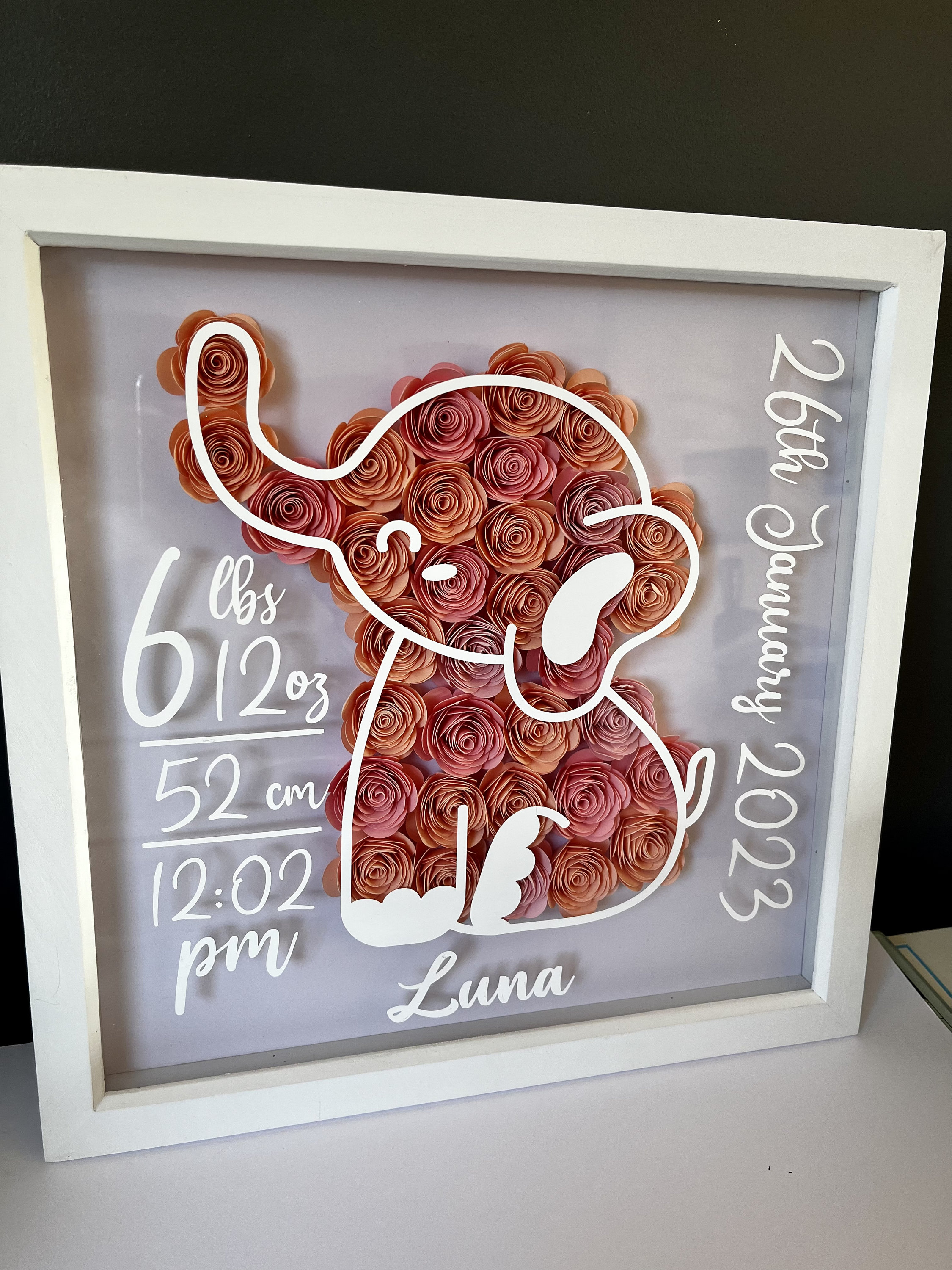 Baby Elephant Shadow Box Frame - Etsy