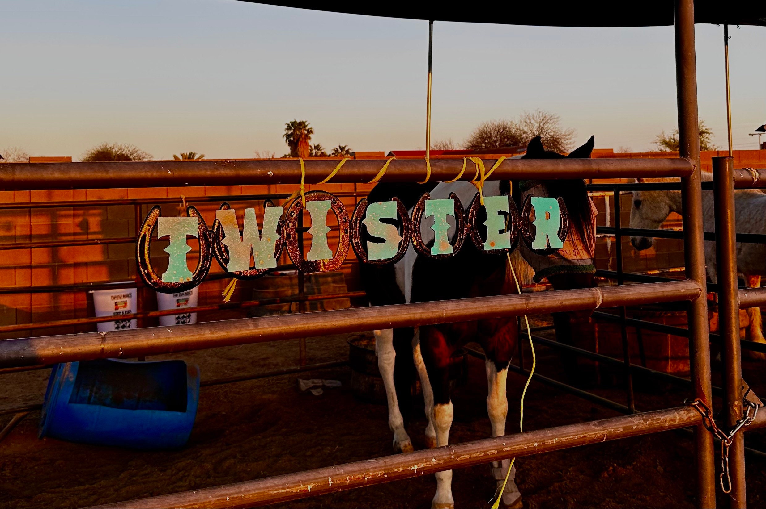 Horseshoe Sign, Name Plate, Welcome Sign - Etsy
