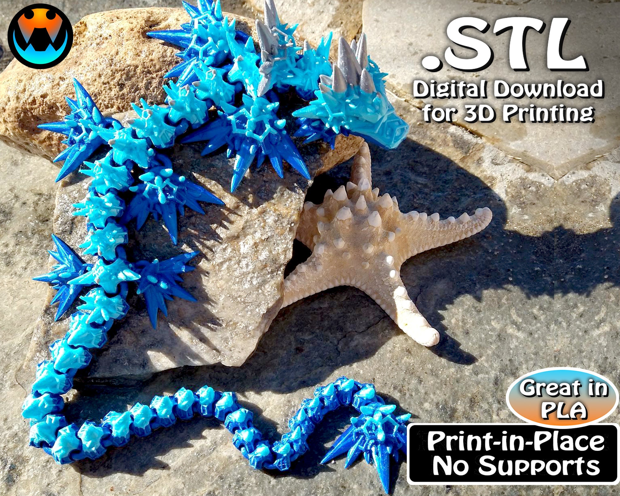 Starfish Images Of The Dragon