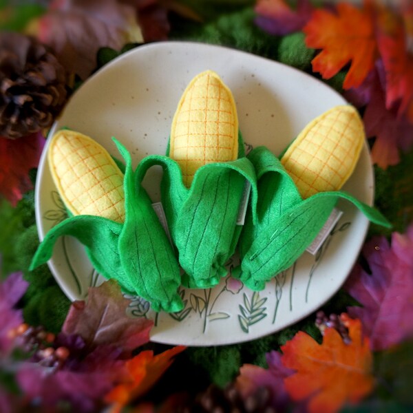 Thanksgiving Cat Toy - Etsy