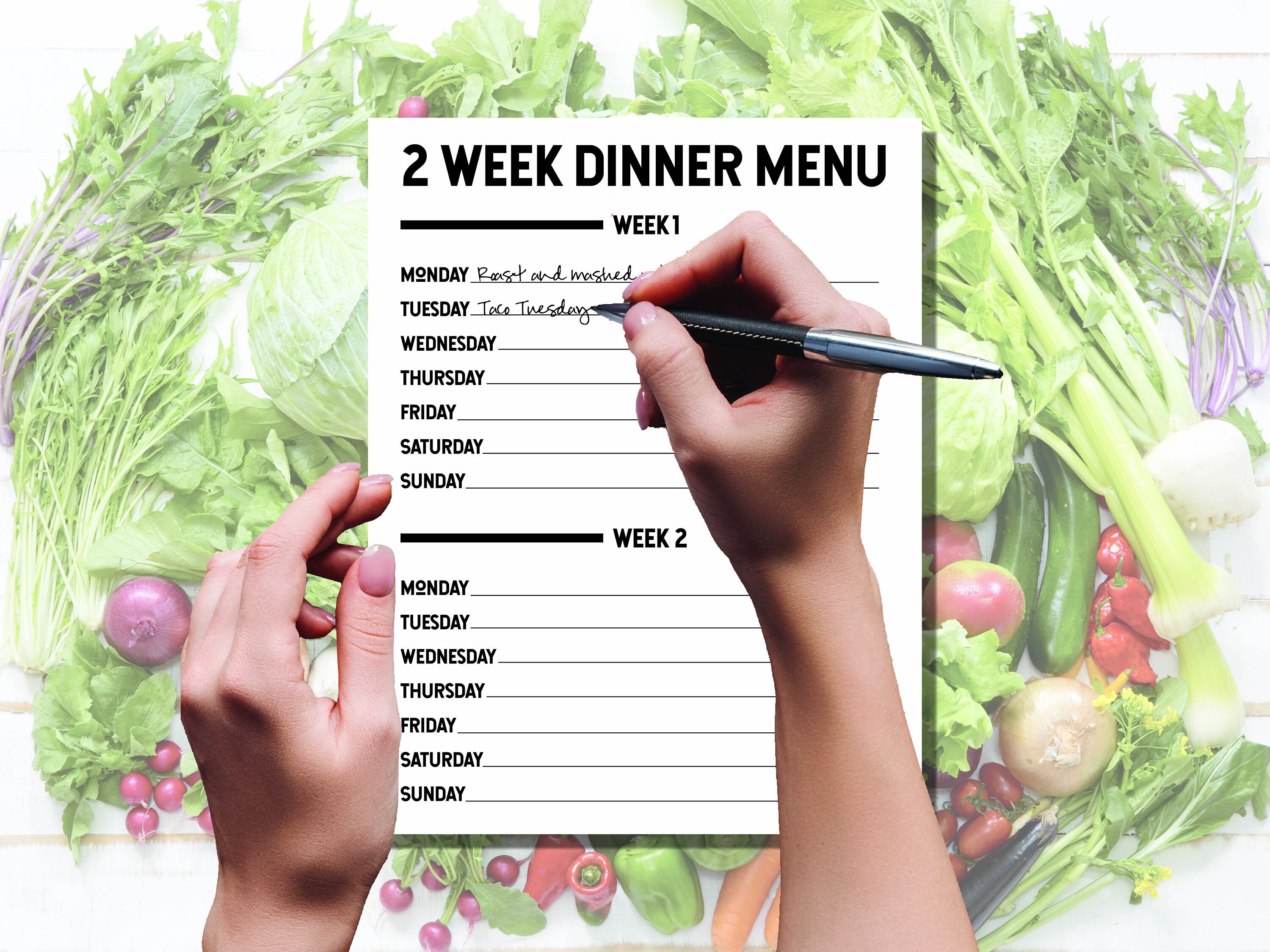 2 Week Dinner Menu Printable - Etsy