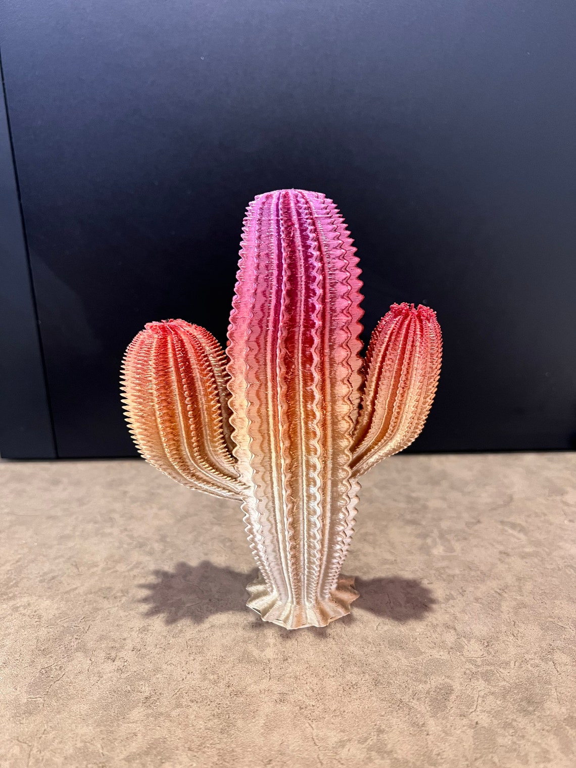 Mini Cactus Home Decor Miniature Plant Collection - Etsy