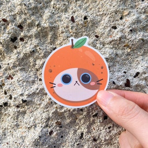 Fruit Cat Sticker Set | Matte Waterproof Vinyl Stickers | Strawberry ...