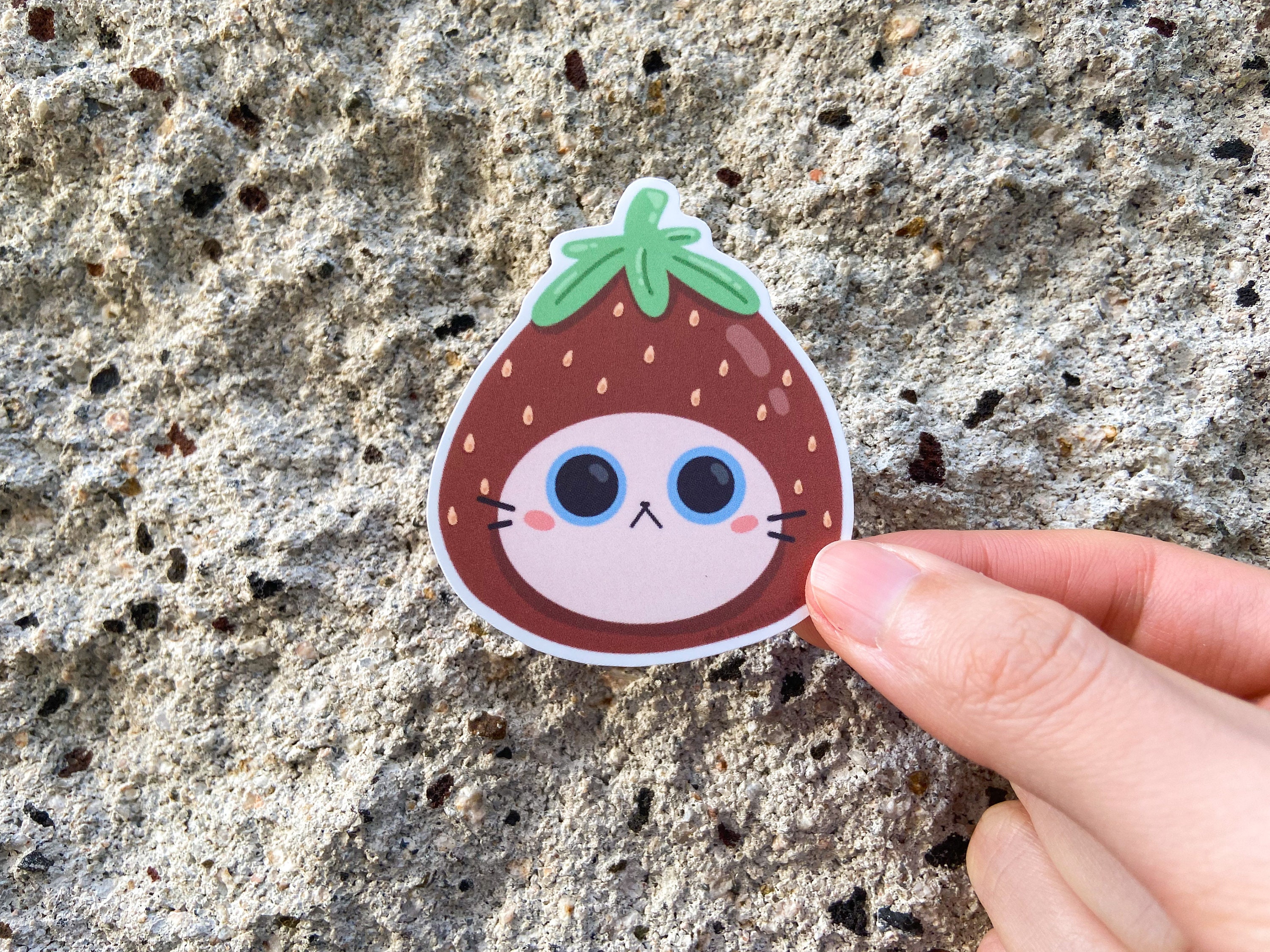 Fruit Cat Sticker Set Matte Waterproof Vinyl Stickers - Etsy