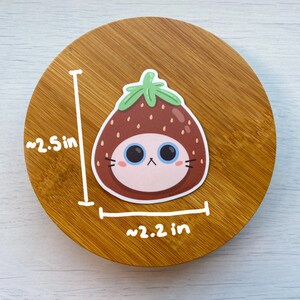 Fruit Cat Sticker Set | Matte Waterproof Vinyl Stickers | Strawberry ...