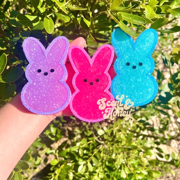 Car Freshie - Etsy