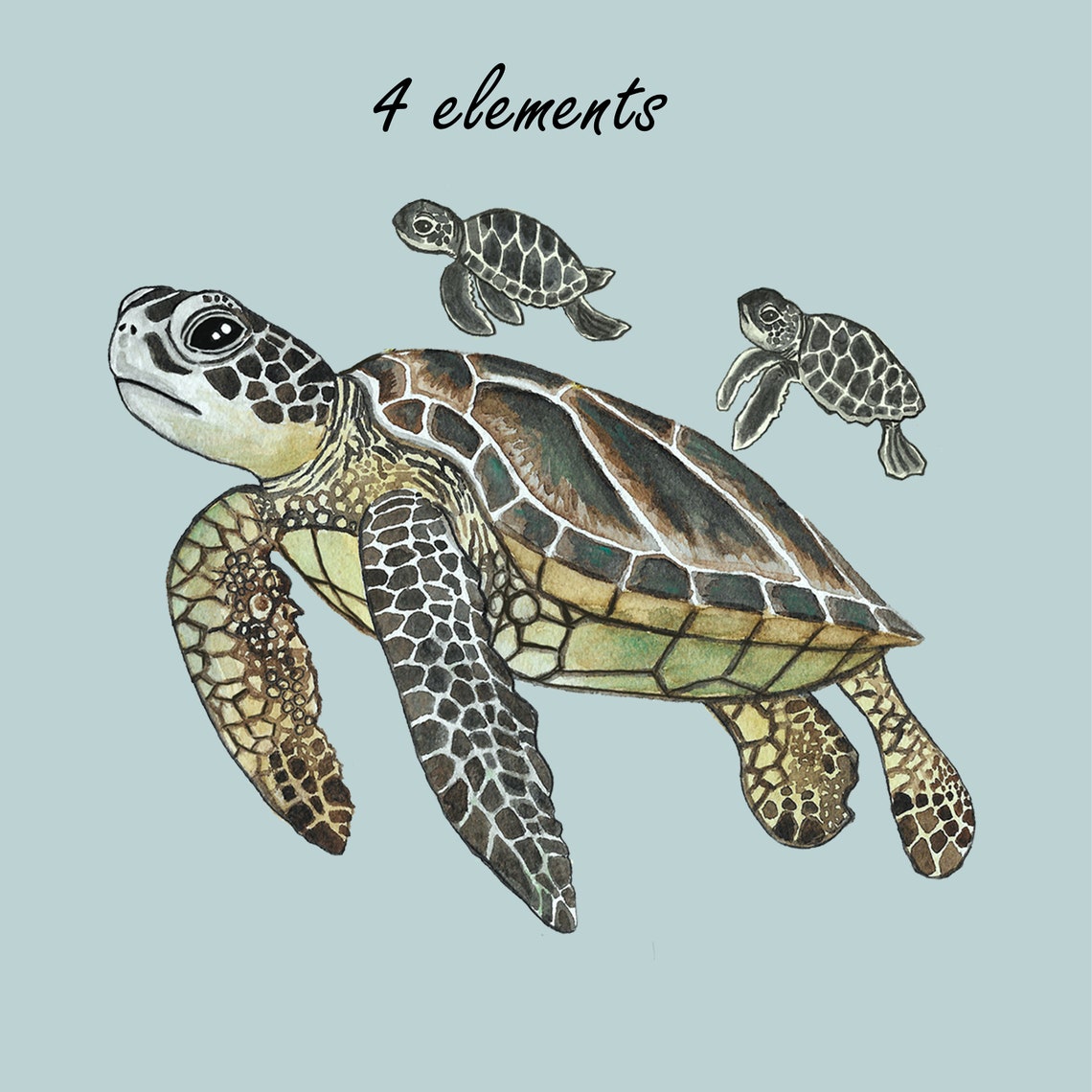 WATERCOLOR CLIPART, Green Sea Turtle Clipart Set, Ocean Turtles, Shells ...