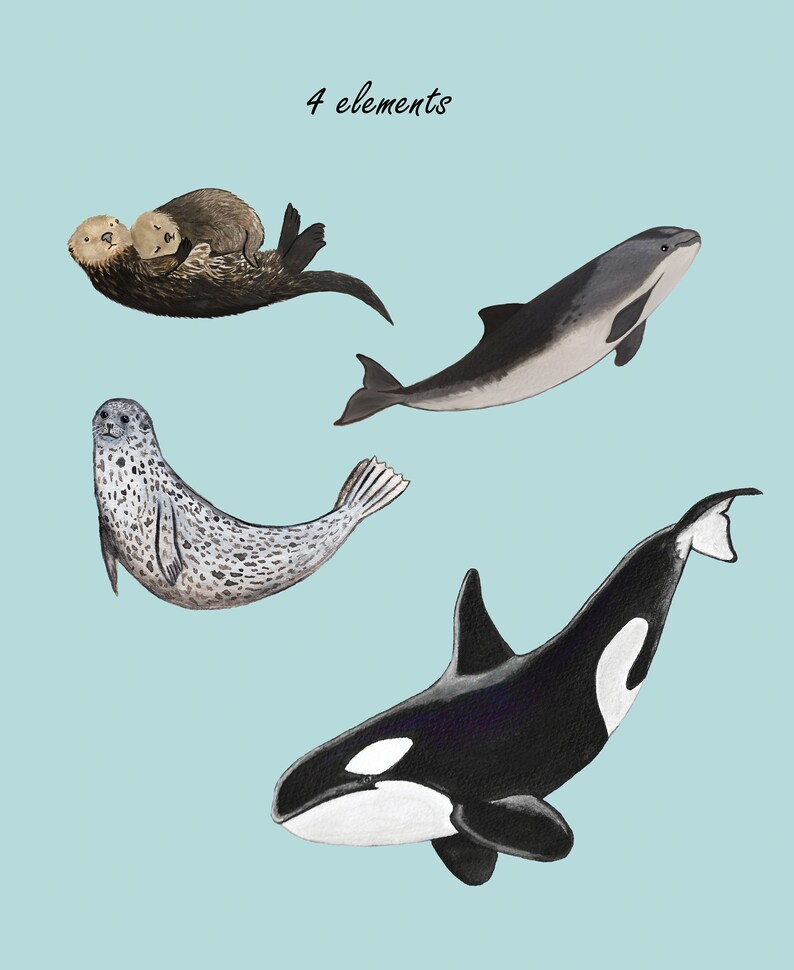WATERCOLOR CLIPART, Marine Mammal Clipart Set, Ocean Beach Summer ...