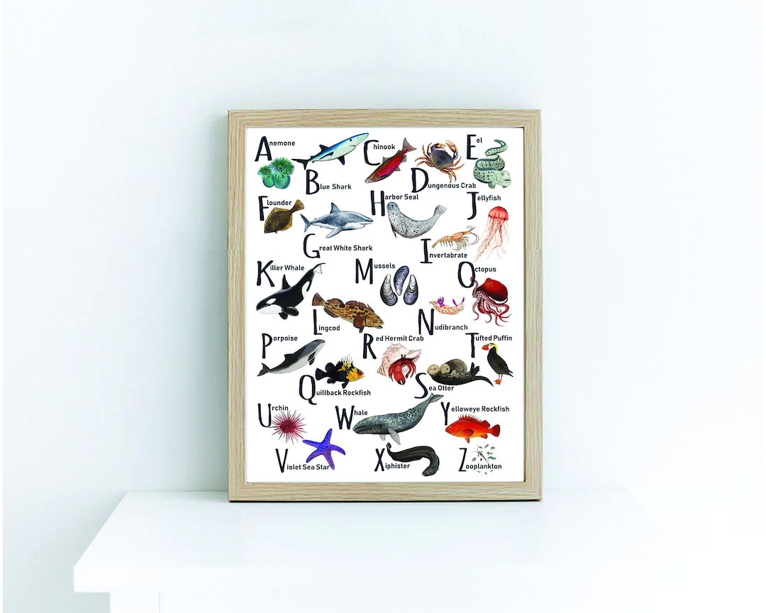 WATERCOLOR ALPHABET, West Coast Alphabet Poster, Marine Alphabet ...
