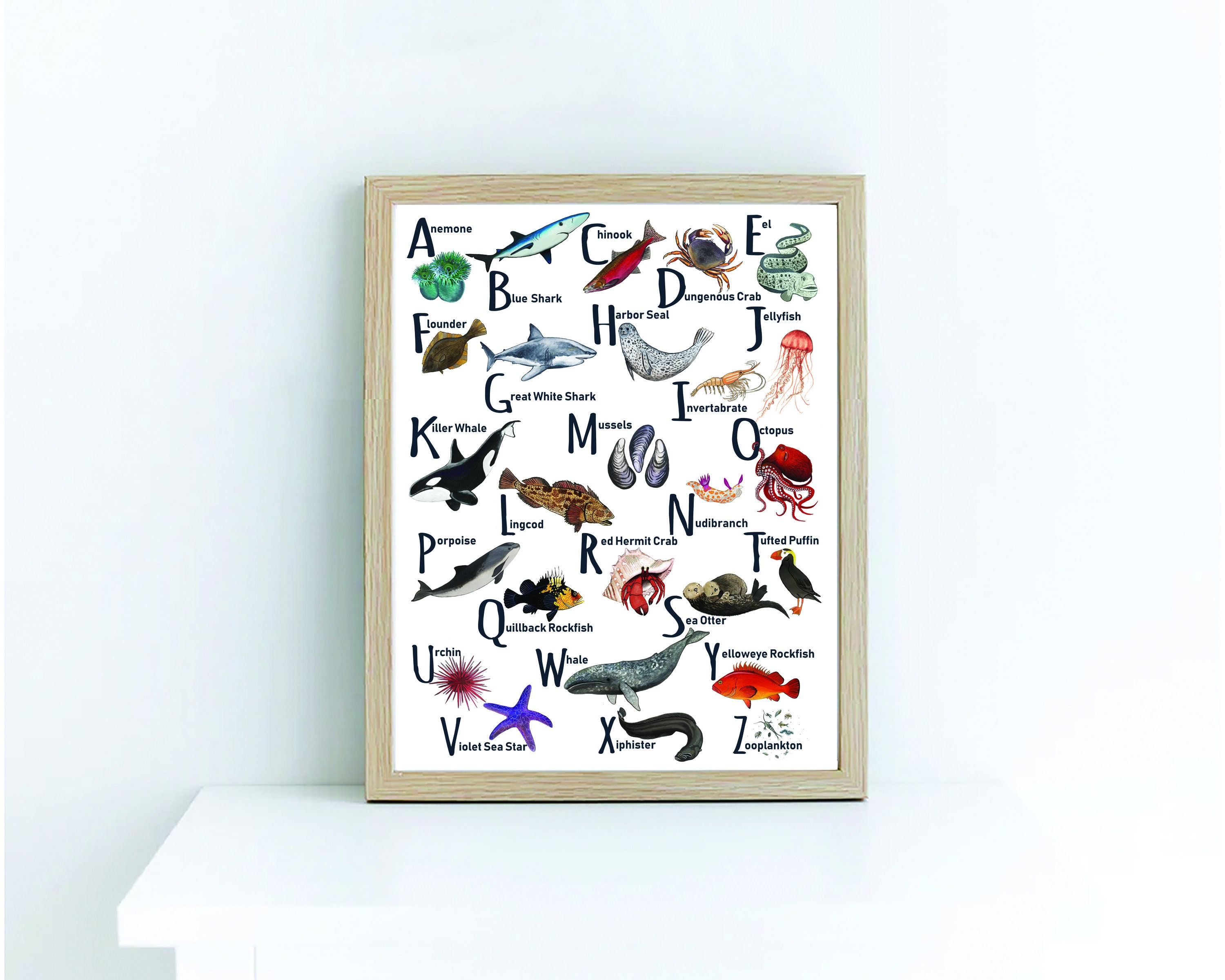 WATERCOLOR ALPHABET, West Coast Alphabet Poster, Marine Alphabet ...