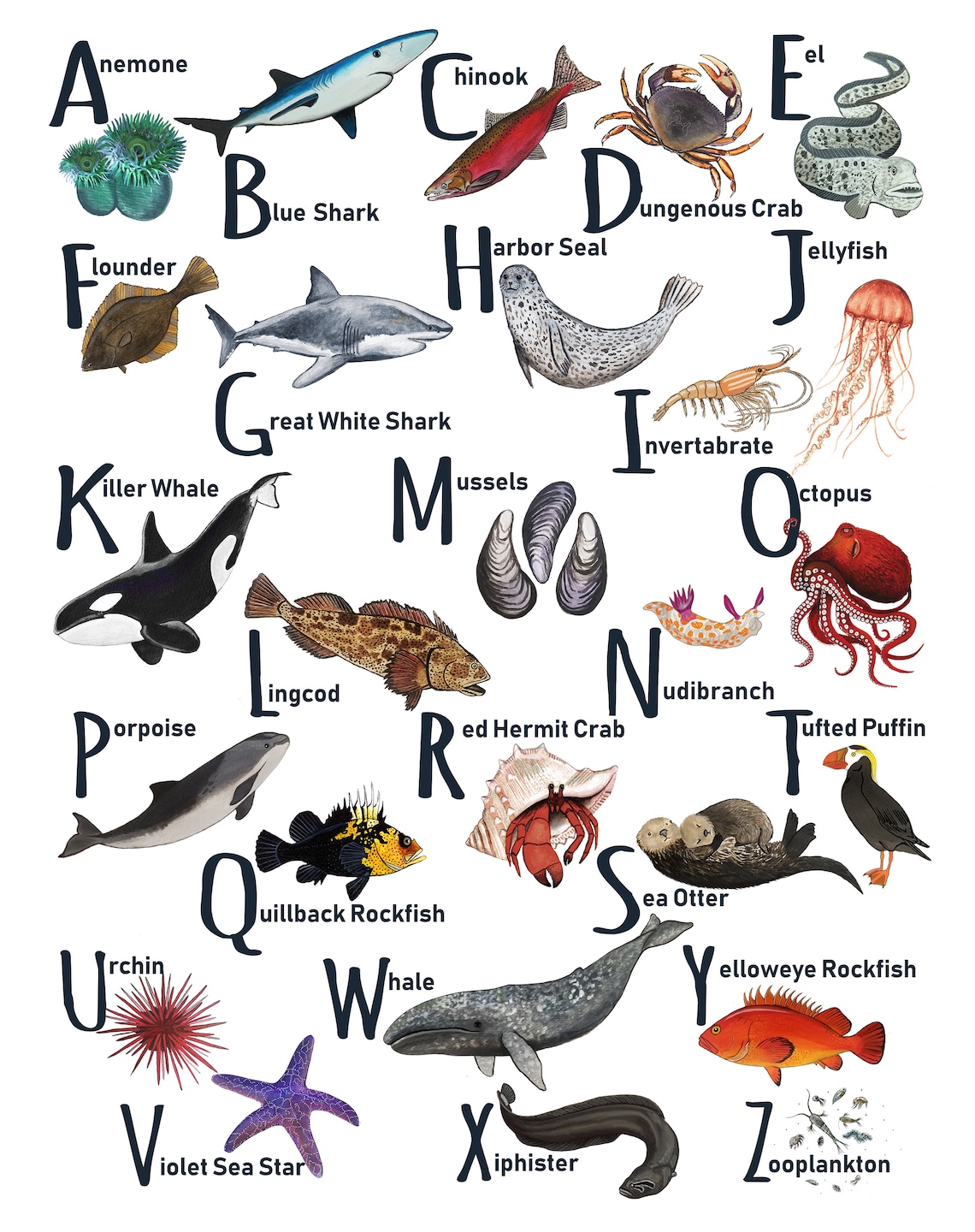 WATERCOLOR ALPHABET, West Coast Alphabet Poster, Marine Alphabet ...