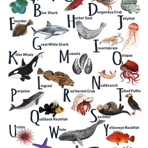 WATERCOLOR ALPHABET, West Coast Alphabet Poster, Marine Alphabet ...