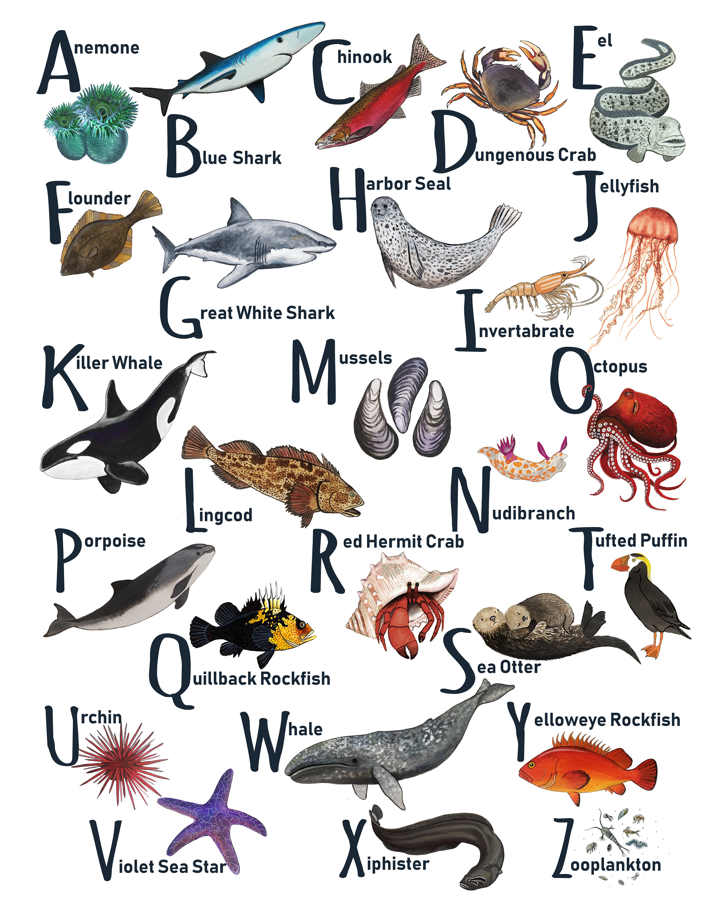 WATERCOLOR ALPHABET, West Coast Alphabet Poster, Marine Alphabet ...