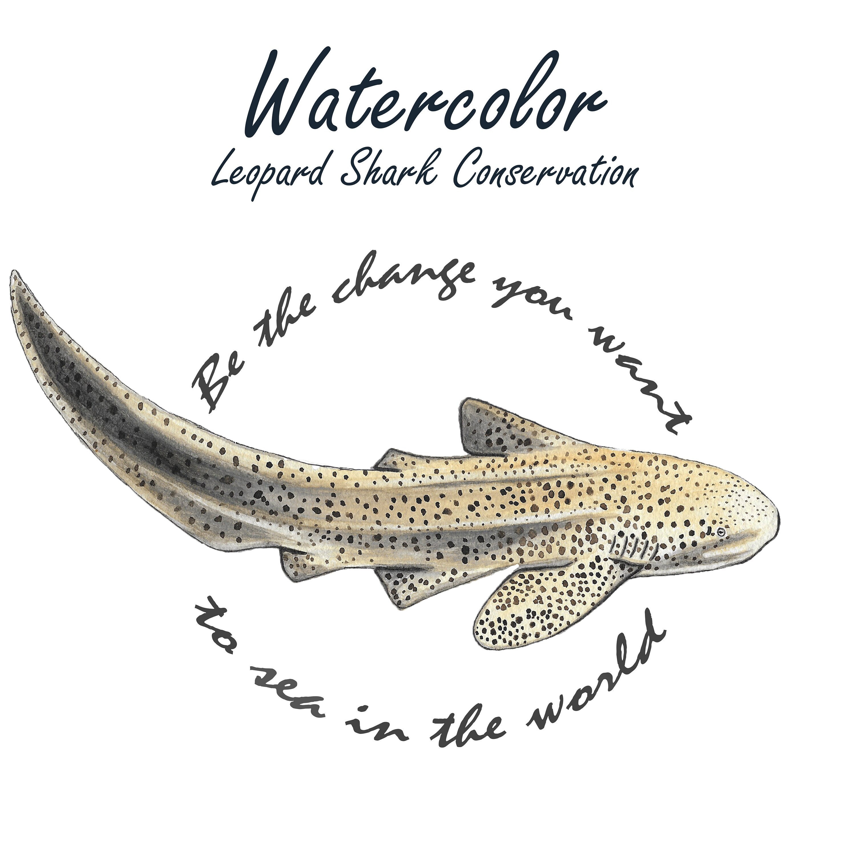 WATERCOLOR CLIPART, Leopard Shark, Zebra Shark, Sharks, Spotted Shark ...