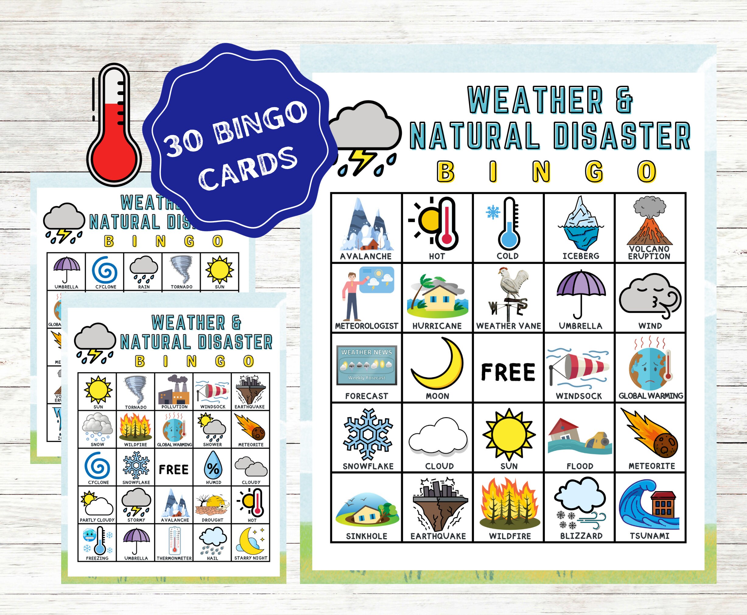 Weather Bingo Cards Instant Download Natural Disaster Bingo - Etsy