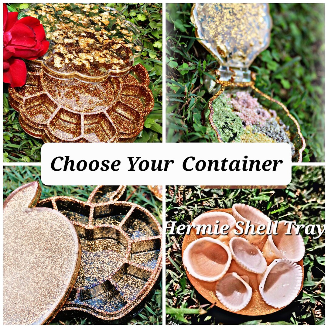 Multi-compartment Container Hermit Crab Food Container Resin Shell Tray ...