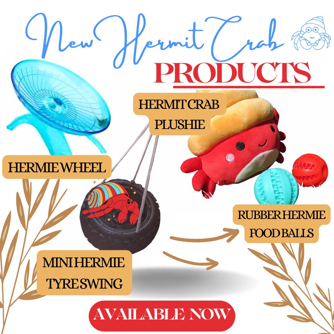 Hermit Crab Toys - Hermie Swing, Plushie, Wheel's & Play Balls. - Etsy ...