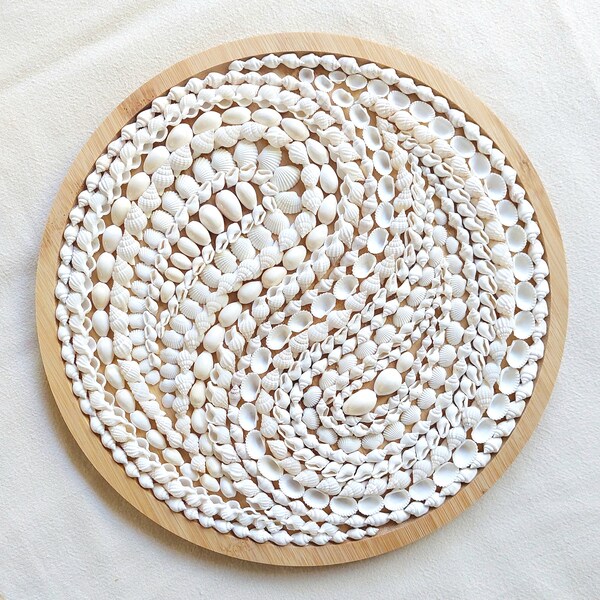 Seashell Artwork - Etsy