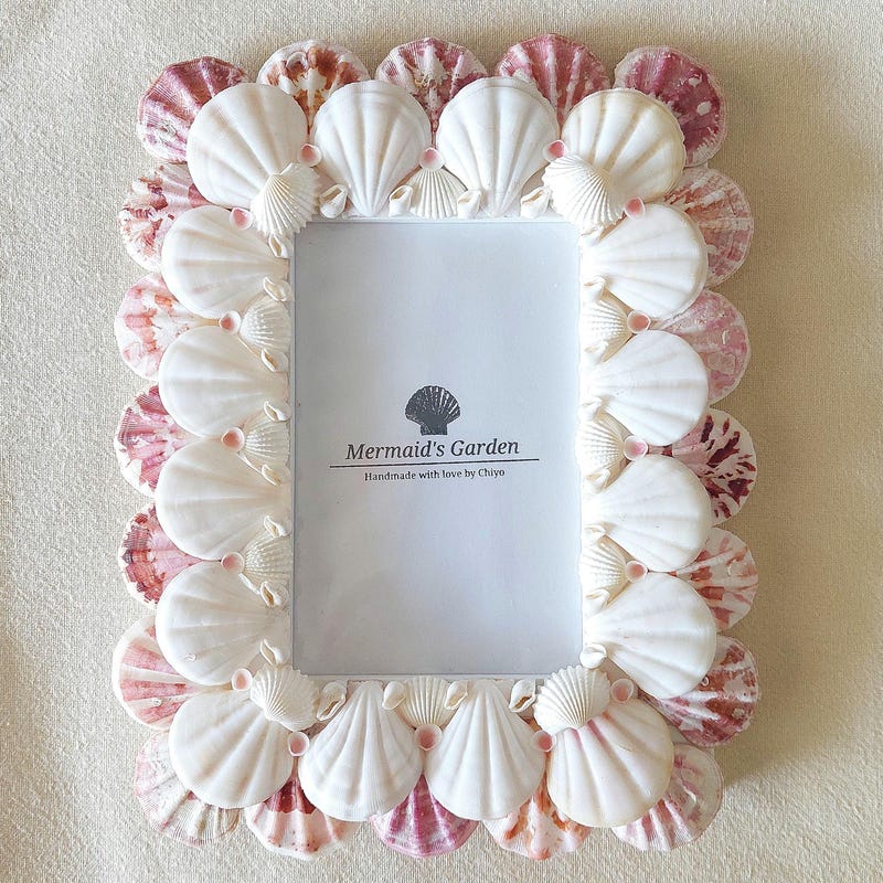 Seashell Frame - Etsy