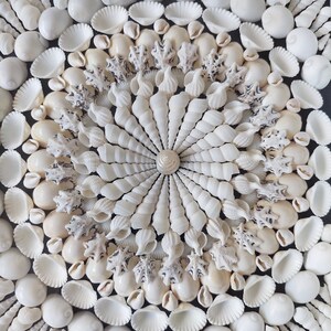 Seashell Mosaic Art - Etsy