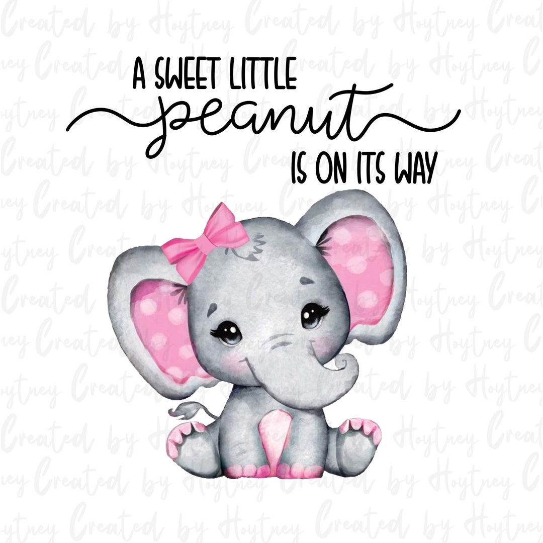 A Sweet Little Peanut is on Its Way PNG, Girl, Elephant, Baby Shower ...