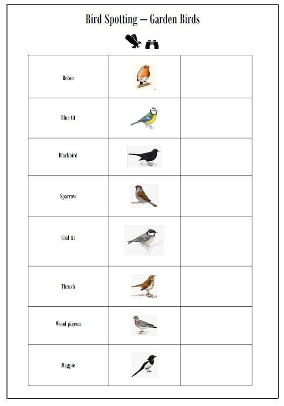 Printable Bird Spotting Chart - Etsy