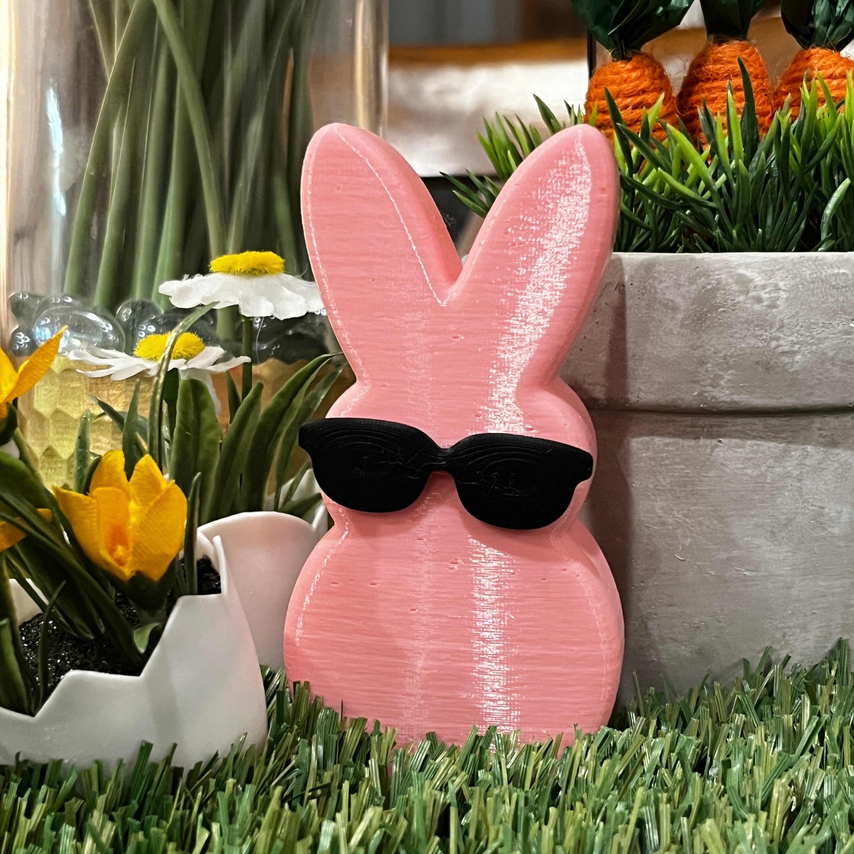 FILE for Peep for 3D Printing With Accessories - Etsy